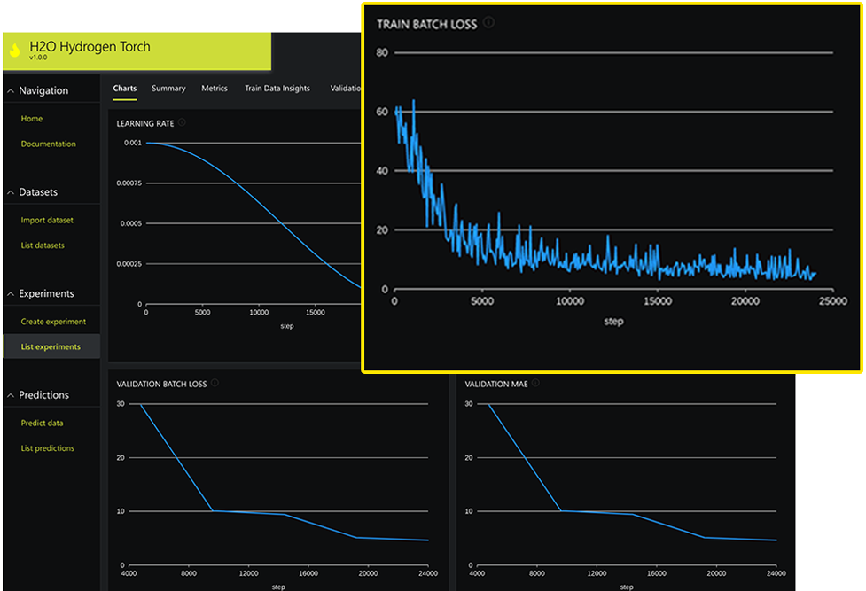 H2O Hydrogen Torch | H2O.ai